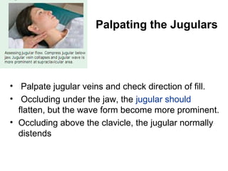 Cardiovascular assessment | PPT