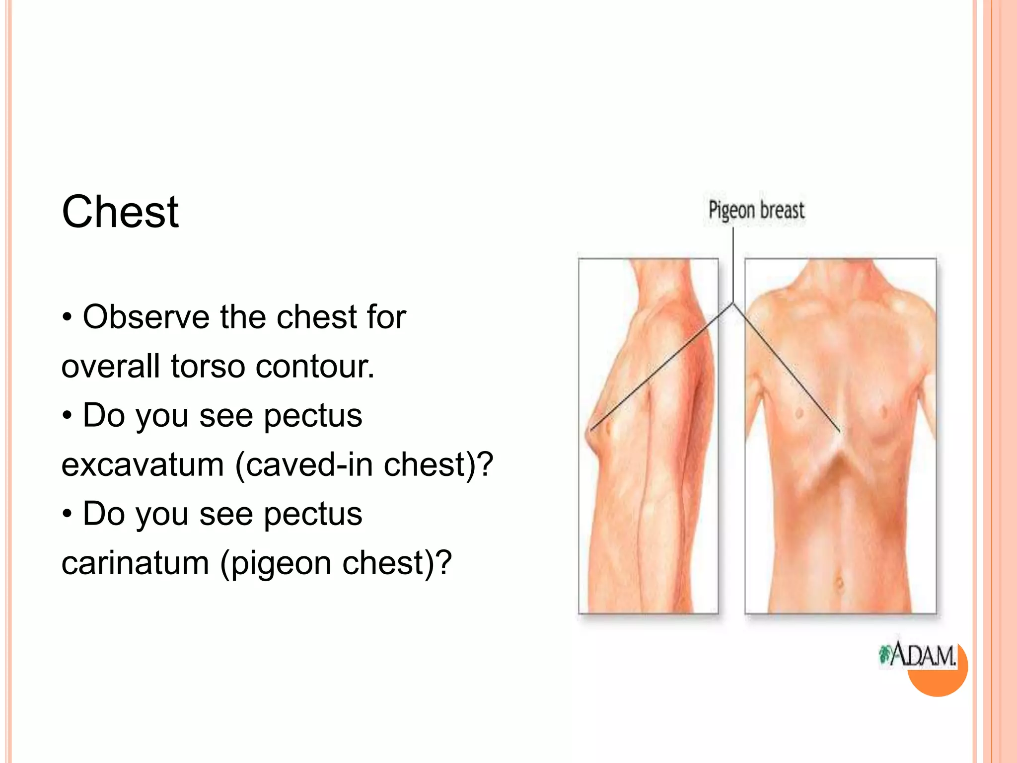 Cardiovascular assessment | PPTX