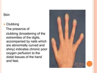Cardiovascular assessment | PPTX