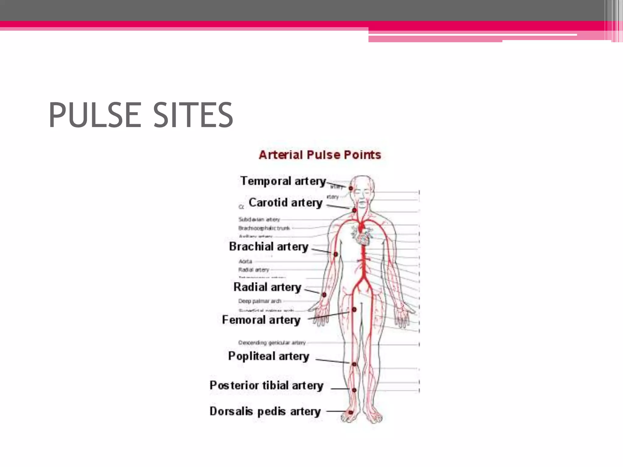 Cardio vascular assessment | PPTX