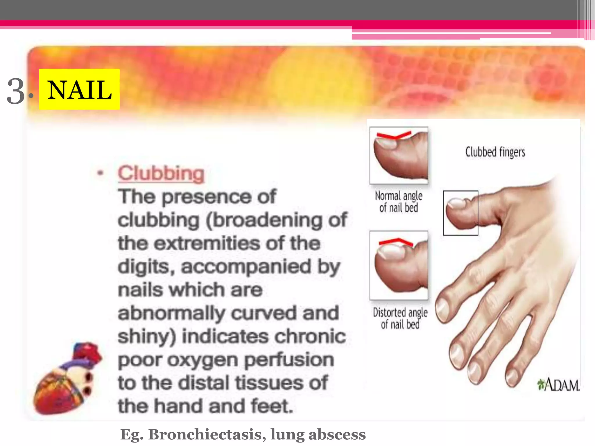 Cardio vascular assessment | PPTX