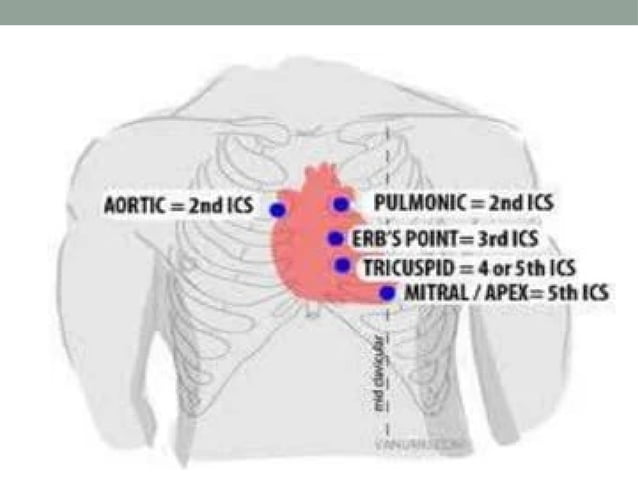 Cardiovascular assessment for nurses.pptx