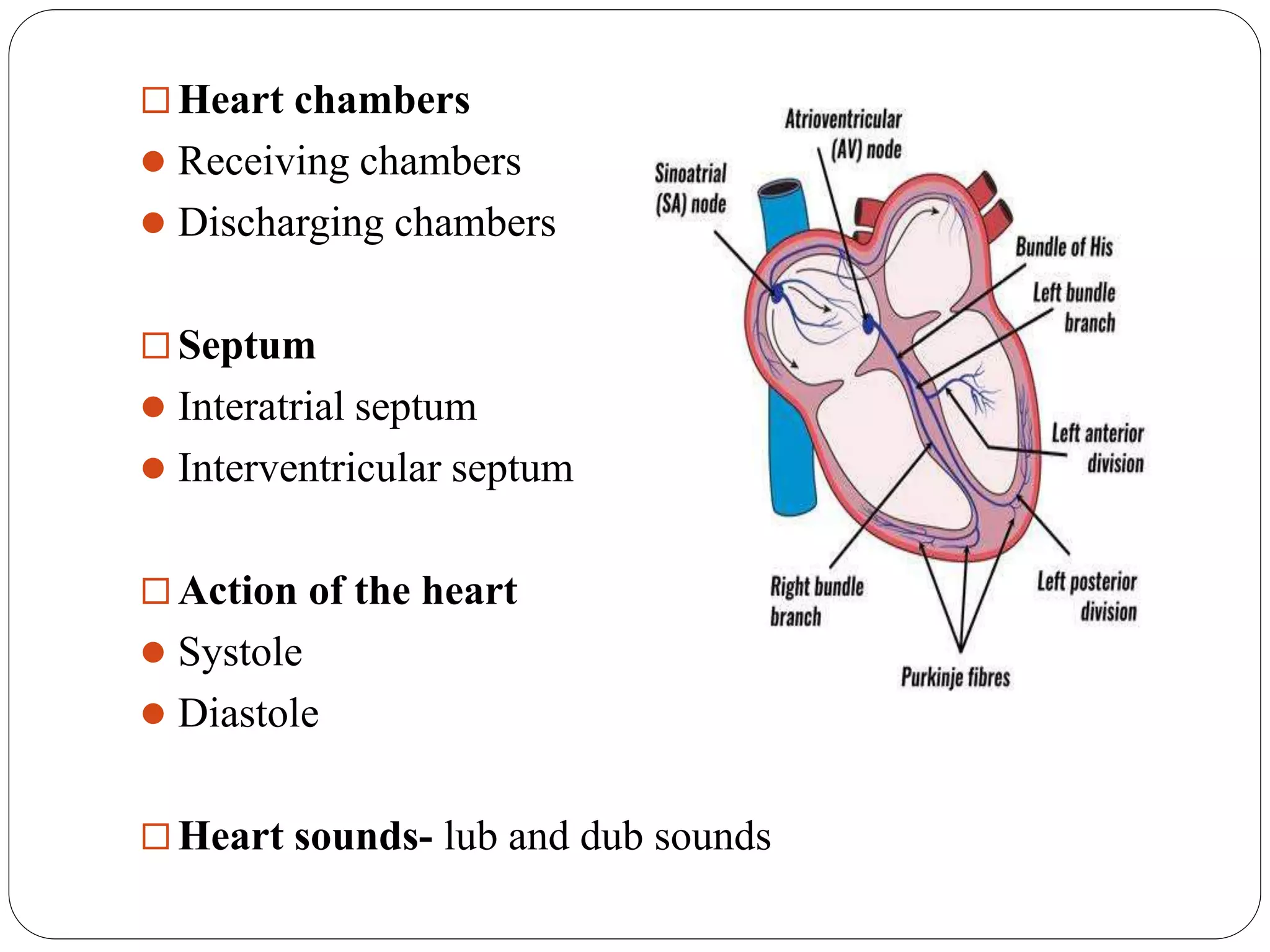 Cardiovascular assessment and diagnostic investigations ppt slideshare ...