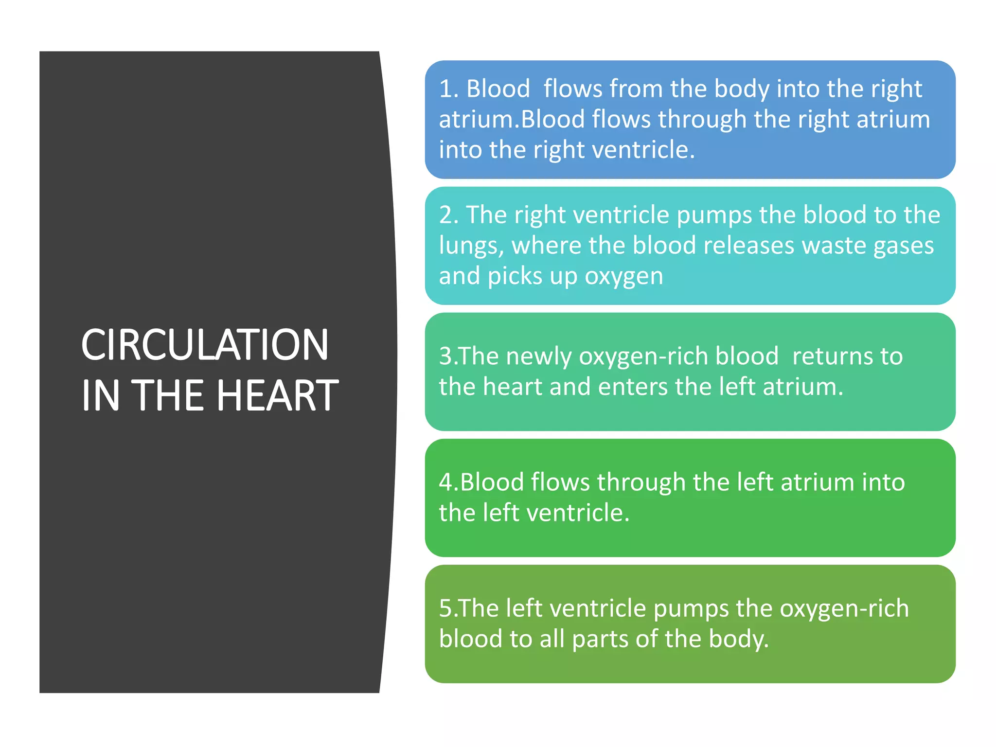 Cardiovascular assessment | PPTX