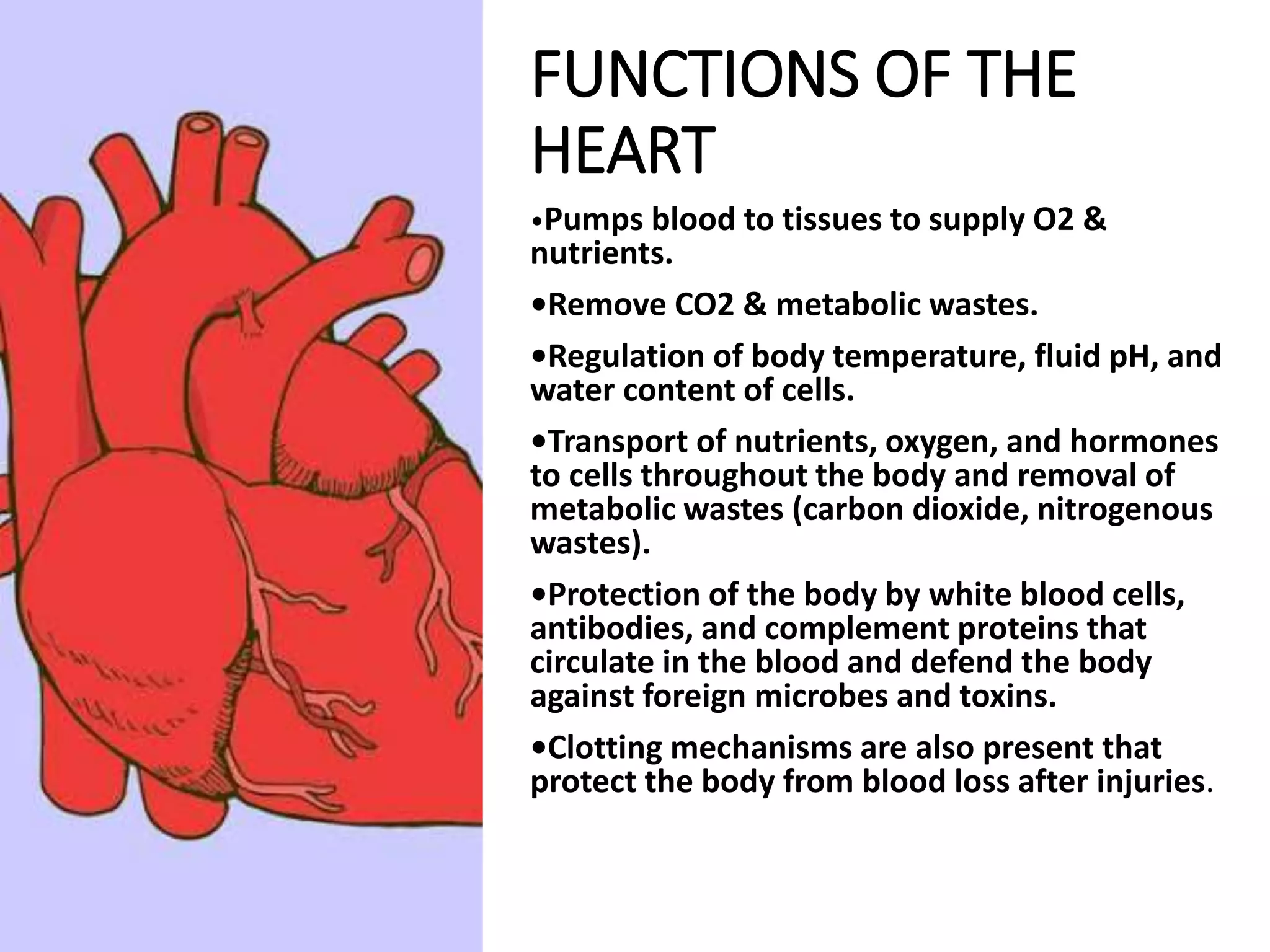 Cardiovascular assessment | PPTX