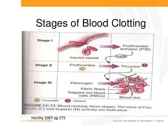 Cardiovascular blood 2014