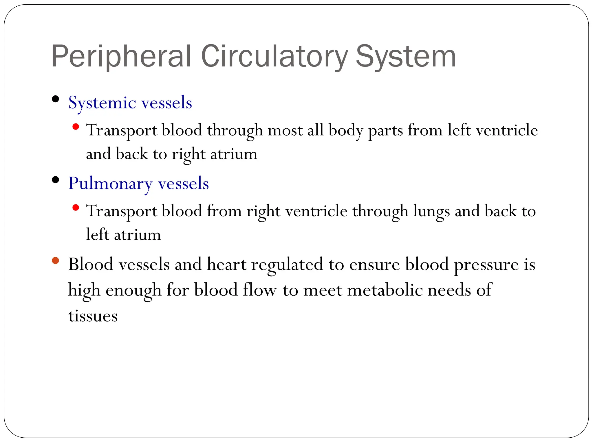 Cardiovascular blood vessels(1).ppt fr nursing student | PPT