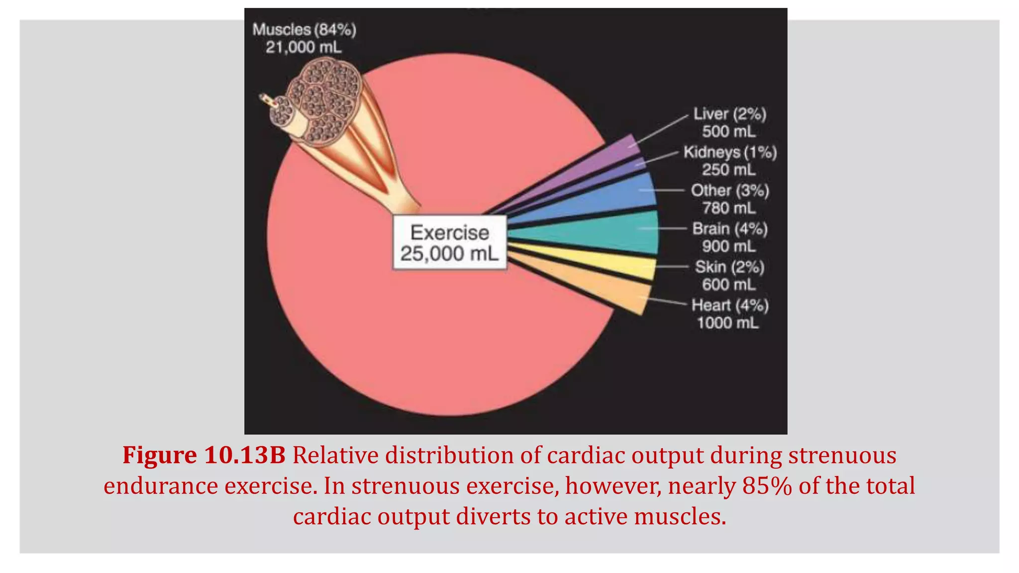 Cardiovascular changes during exercise | PPTX