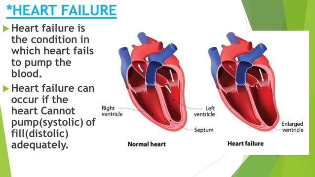 cardiovascular changes in elderly | PDF