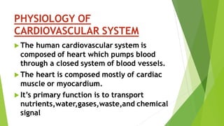 cardiovascular changes in elderly | PDF