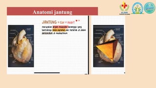 Cardiovascular disease adalah penyakit pada jantung dan pembuluh darah ...