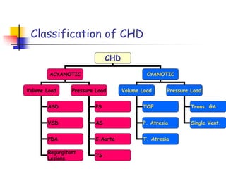 Cardiovascular Diseases.ppt