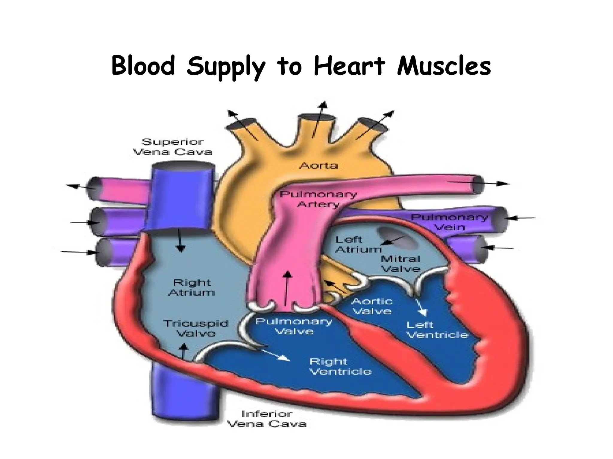 Cardiovascular disorder amd their components | PPT