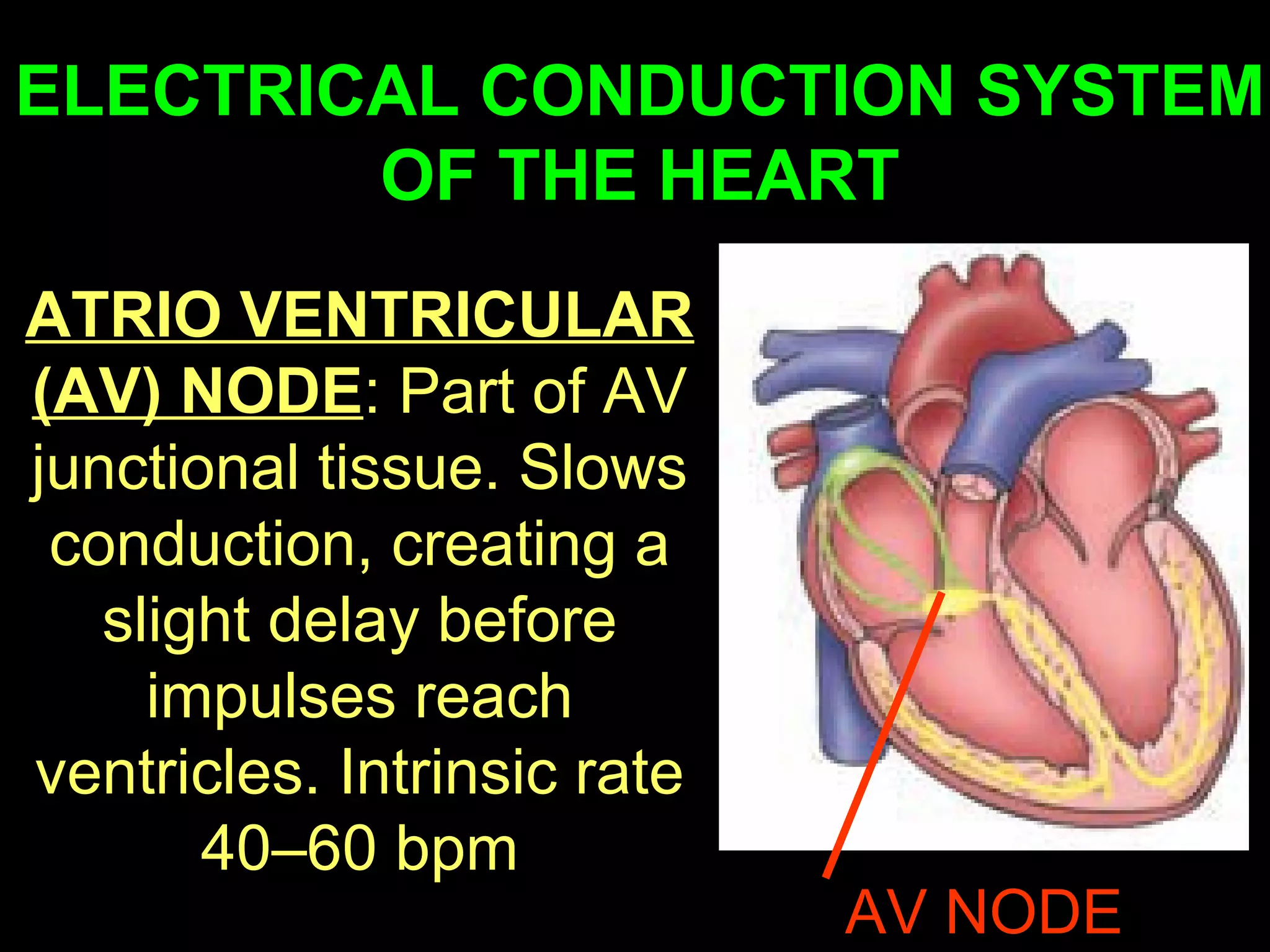 Cardiovascular disorders | PPT