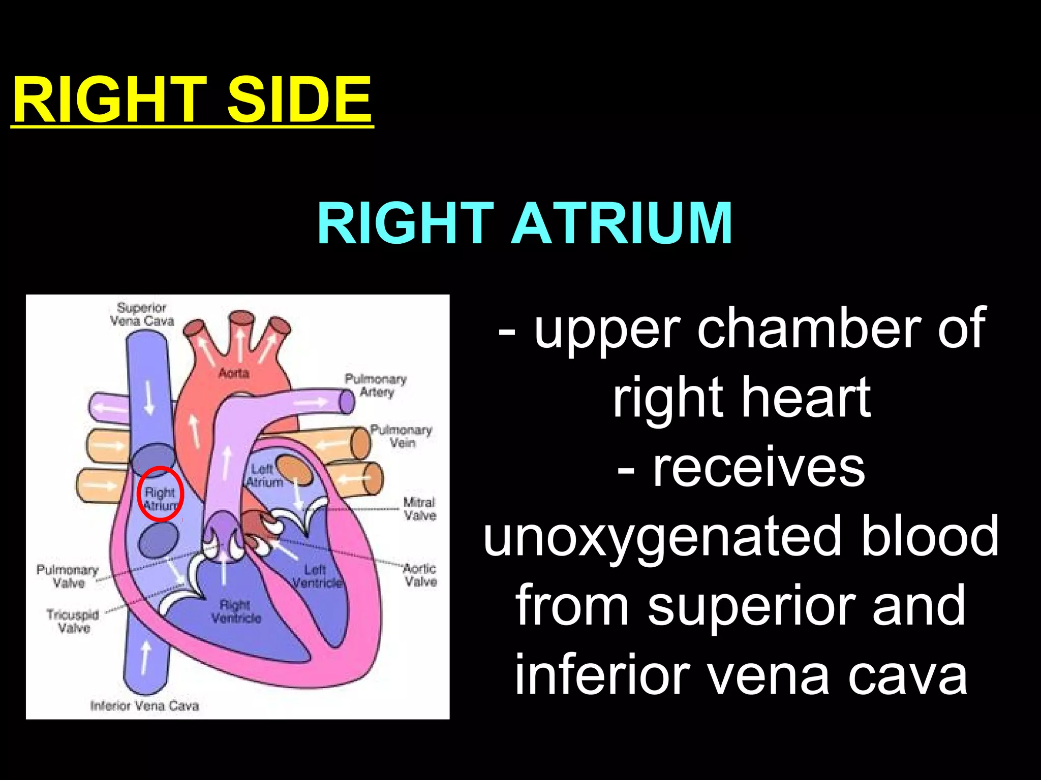 Cardiovascular disorders | PPT