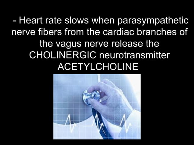 Cardiovascular disorders | PPT