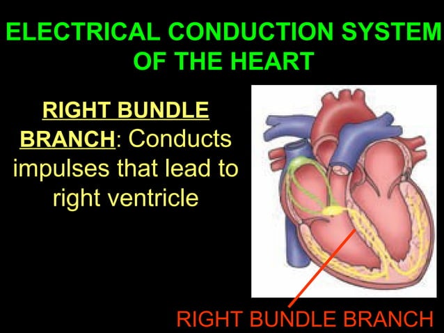 Cardiovascular disorders | PPT