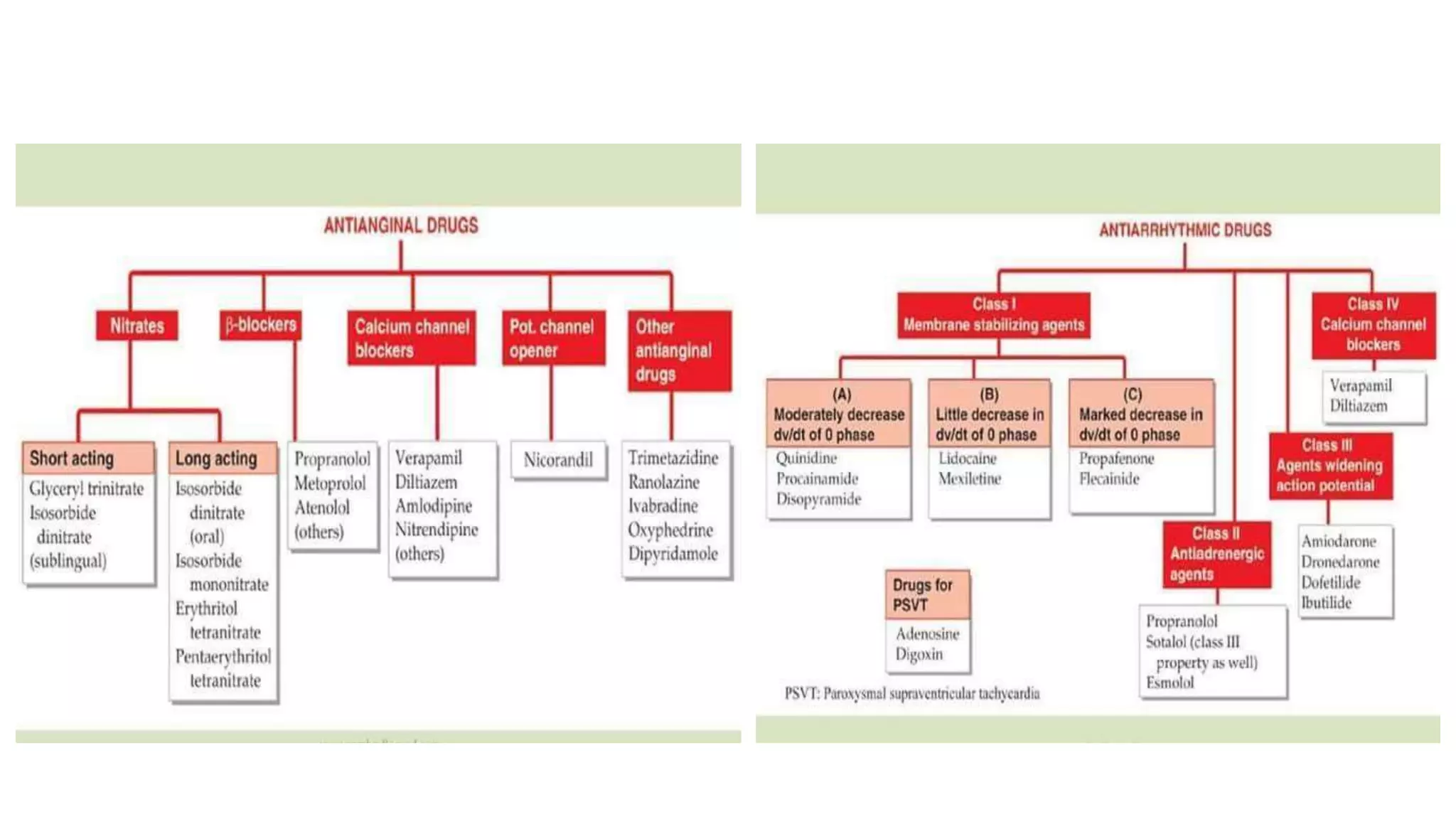 Cardiovascular drug | PPTX