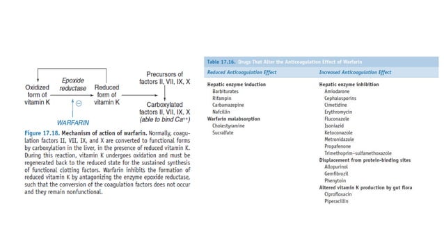 Common Medicine which used in Cardiovascular.pptx