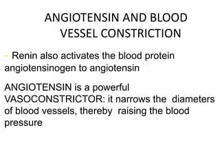 Cardiovascular drugs 1.ppt