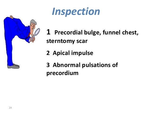 Cardiovascular examination