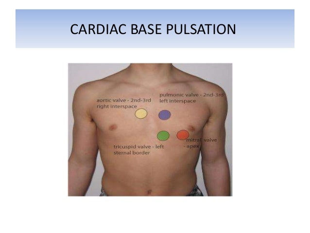 Cardiovascular examination