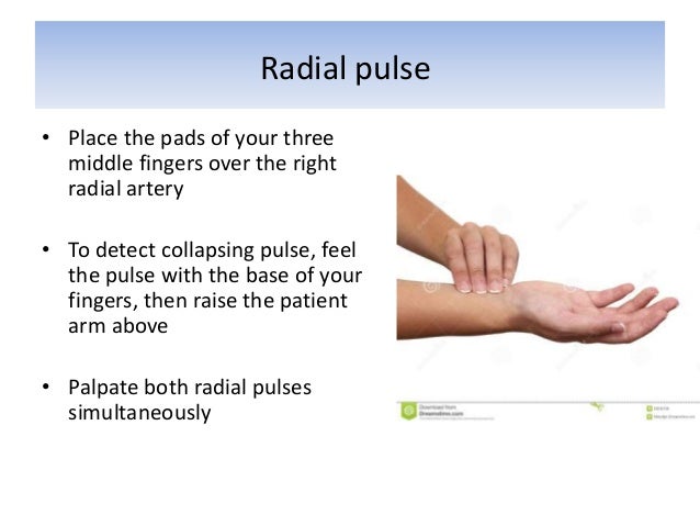 Cardiovascular examination