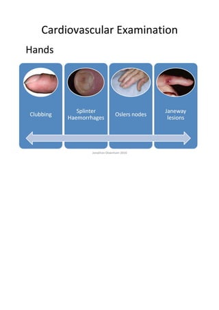 Cardiovascular examination | PDF