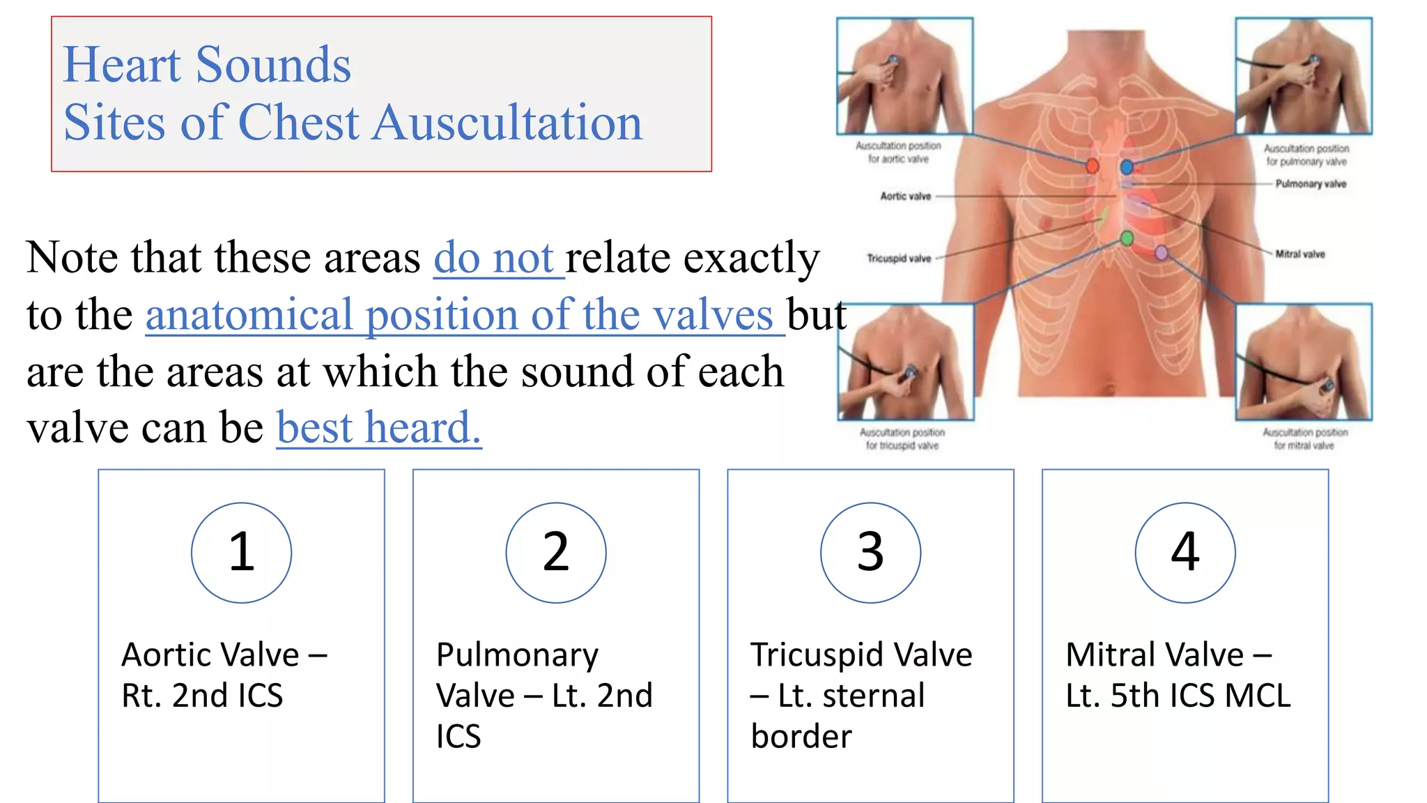 Cardiovascular examination | PPTX