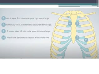 Cardiovascular examination (physical exam).pptx