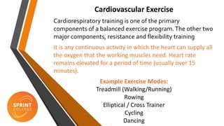 Cardiovascular exercise | PPT