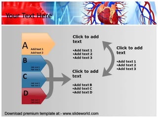 Cardiovascular PowerPoint Template | PPTX