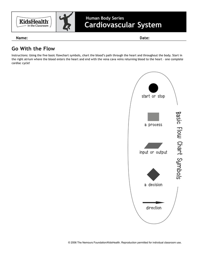 Cardiovascular handout | PDF