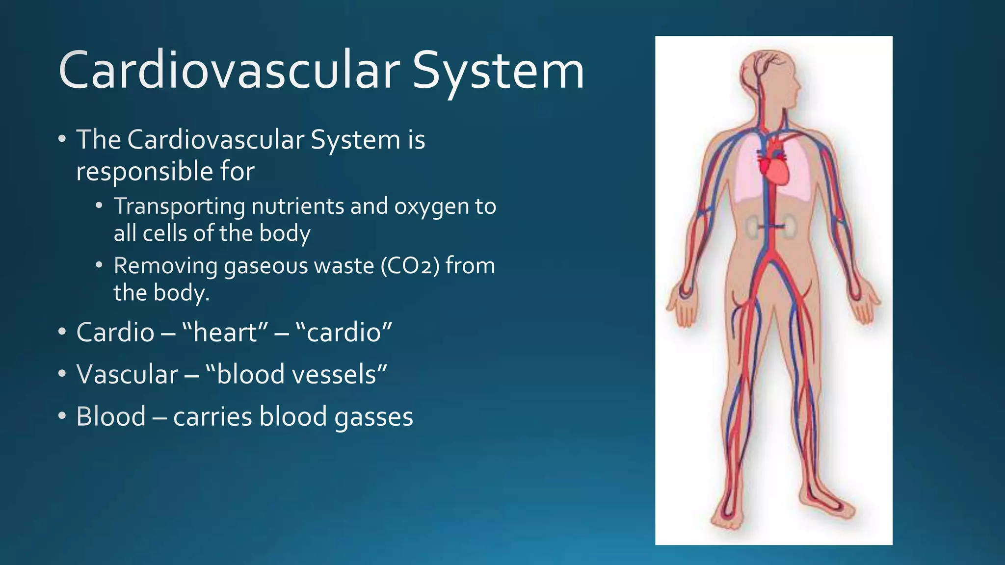 Cardiovascular Health Presentation | PPTX