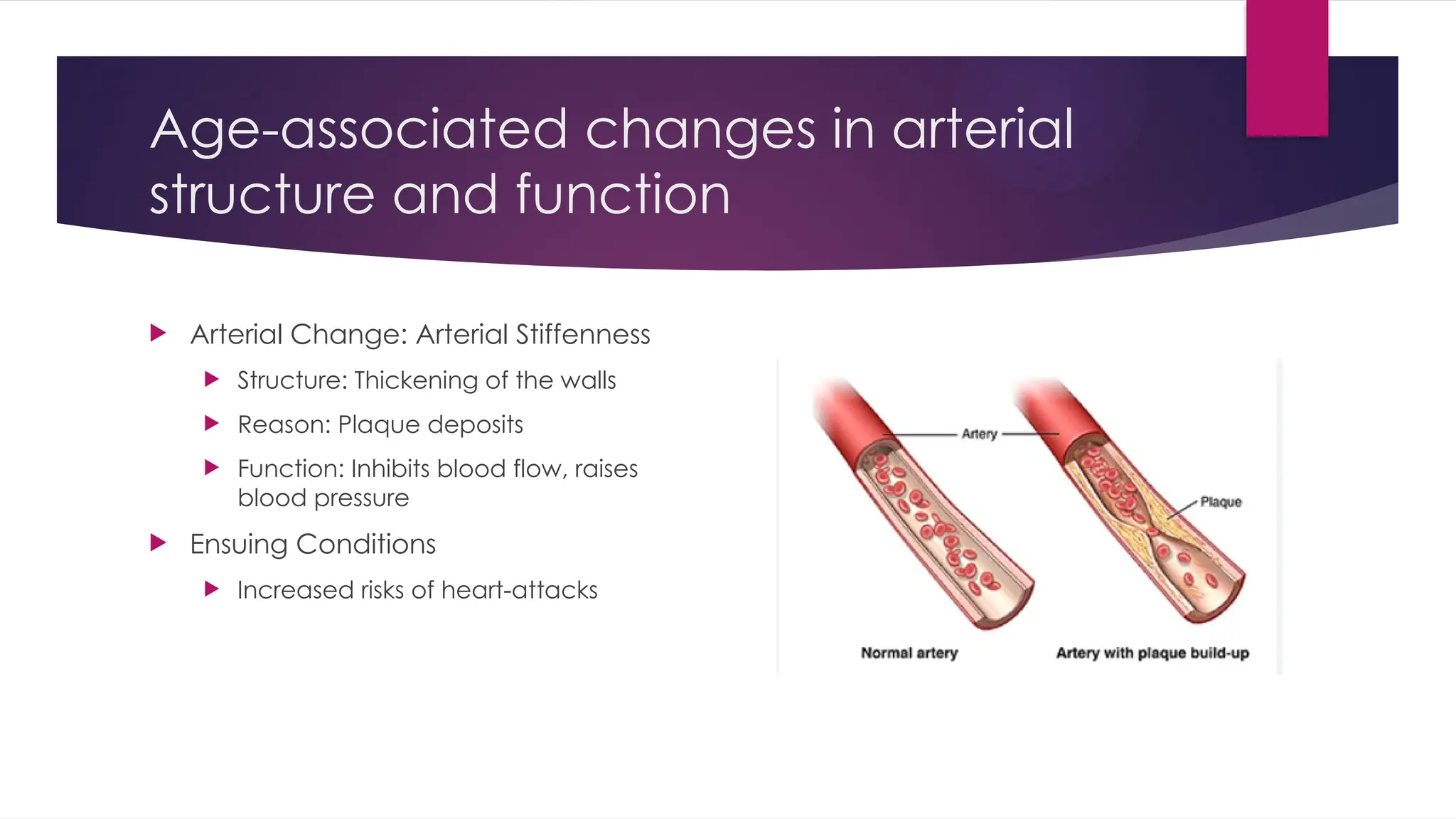 cardiovascular health problems among older adults.pptx