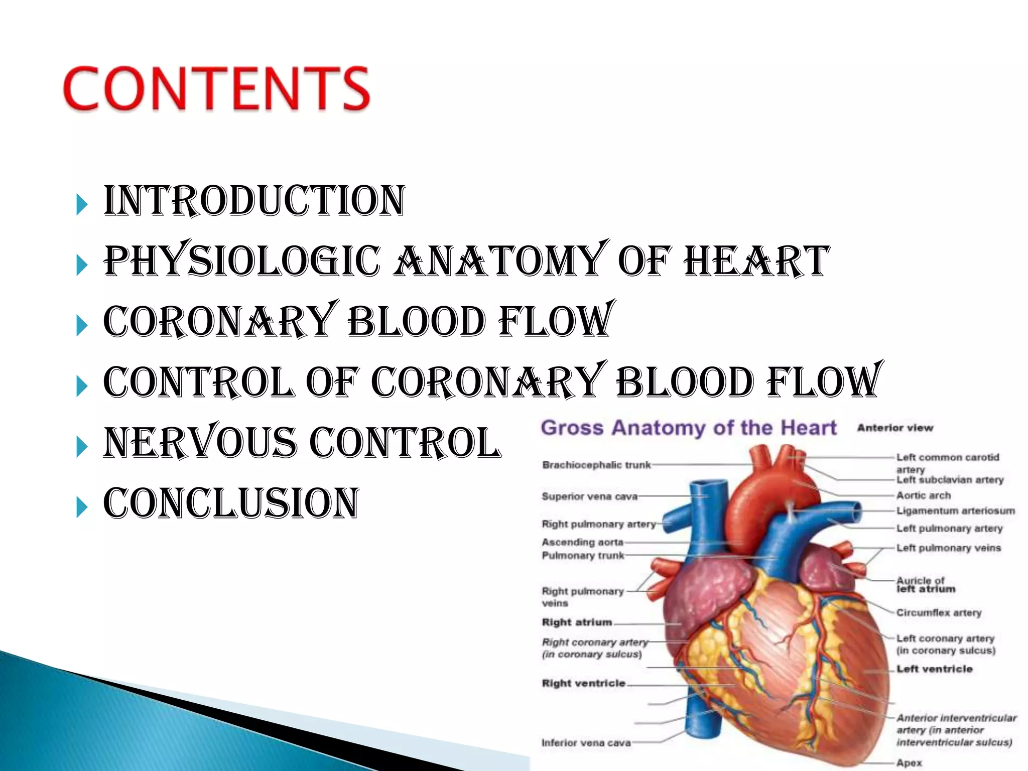 Cardiovascular hemodynamics | PPTX