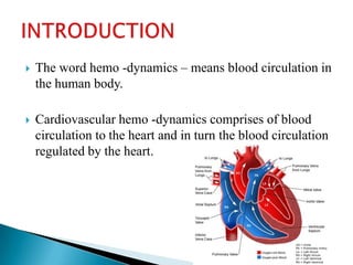 Cardiovascular hemodynamics | PPTX