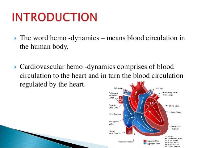 Cardiovascular hemodynamics