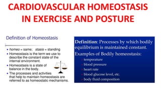 CARDIOVASCULAR HOMEOSTASIS IN EXERCISE AND POSTURE.pptx