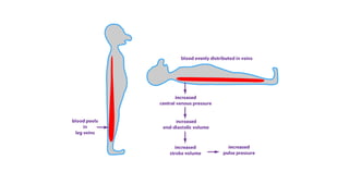 CARDIOVASCULAR HOMEOSTASIS IN EXERCISE AND POSTURE.pptx