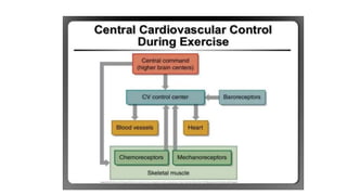 CARDIOVASCULAR HOMEOSTASIS IN EXERCISE AND POSTURE.pptx