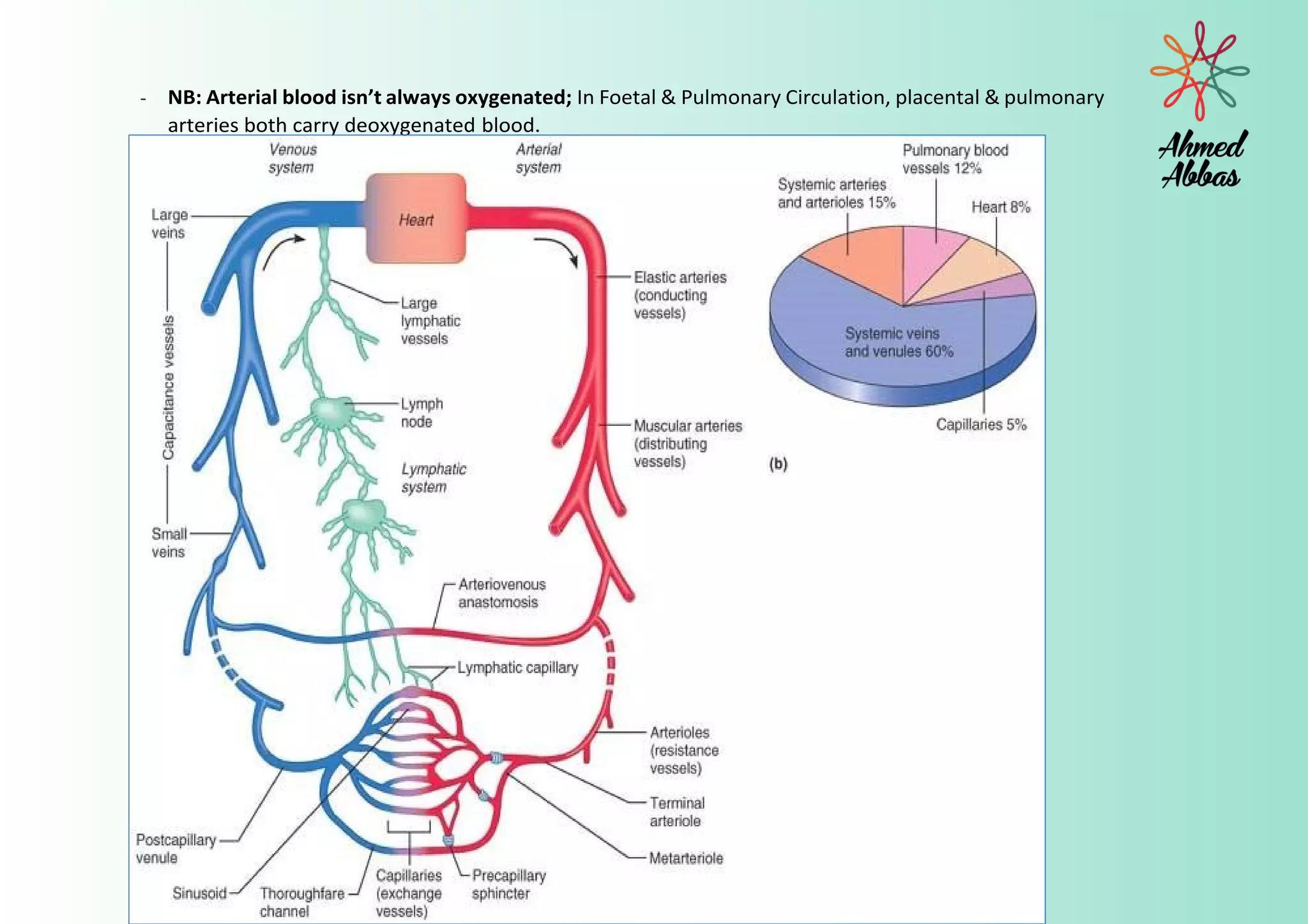 Cardiovascular lec.5 | PPT