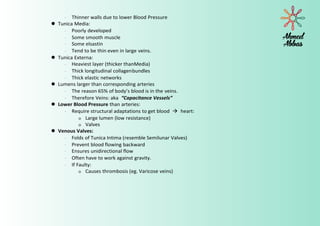 Cardiovascular lec.5 | PPT