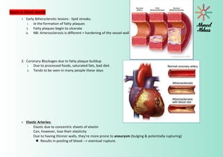Cardiovascular lec.5 | PPT
