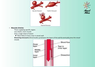 Cardiovascular lec.5 | PPT