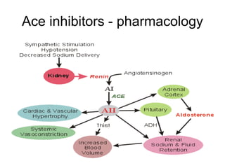 Cardiovascular System Drugs | PPTX