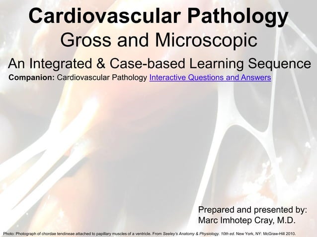 Cardiovascular Pathology Case-based_Gross and Microscopic | PDF