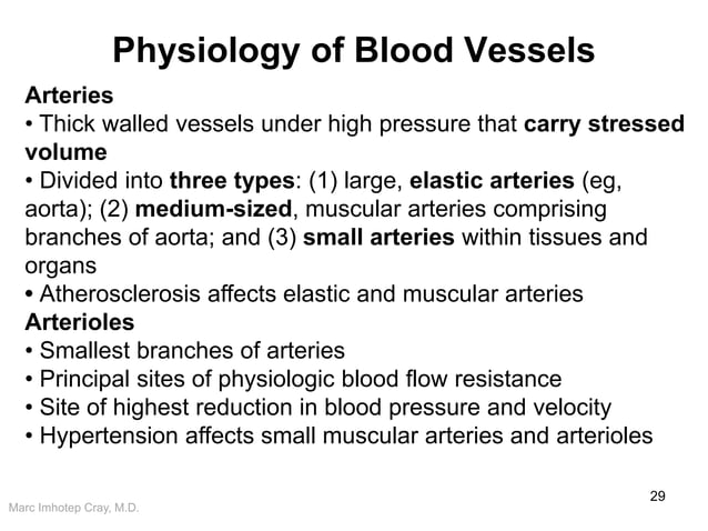 Cardiovascular Pathology Case-based_Gross and Microscopic | PDF