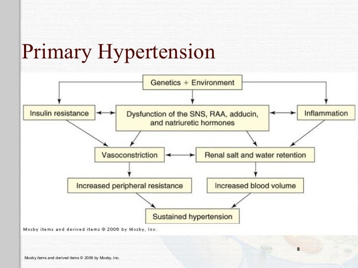 Cardiovascular patho s10