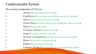Cardiovascular Pharmacology | Definition | Disorders | Drugs | PPTX